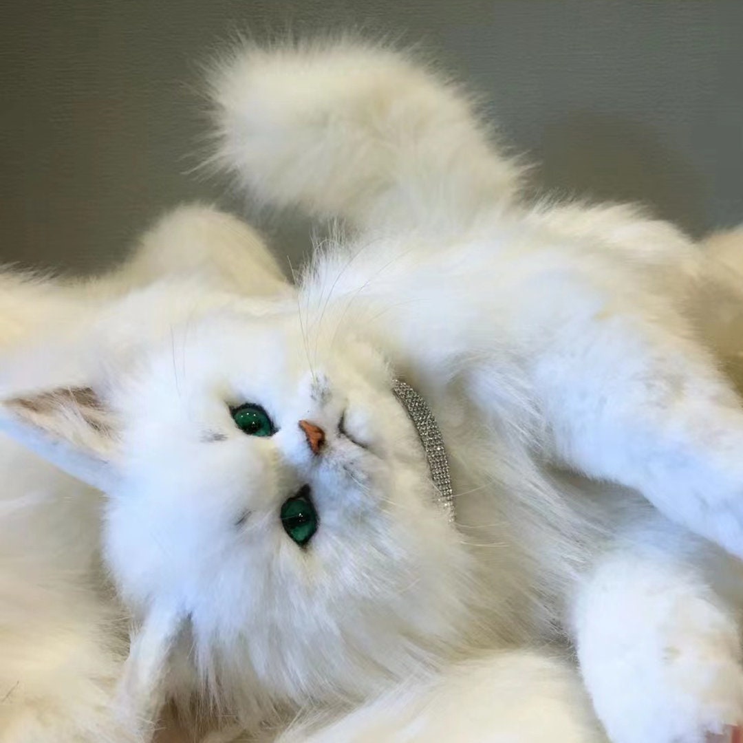 Articulated Realistic Cat Replica Articulated Life Size Cat Plushie ...