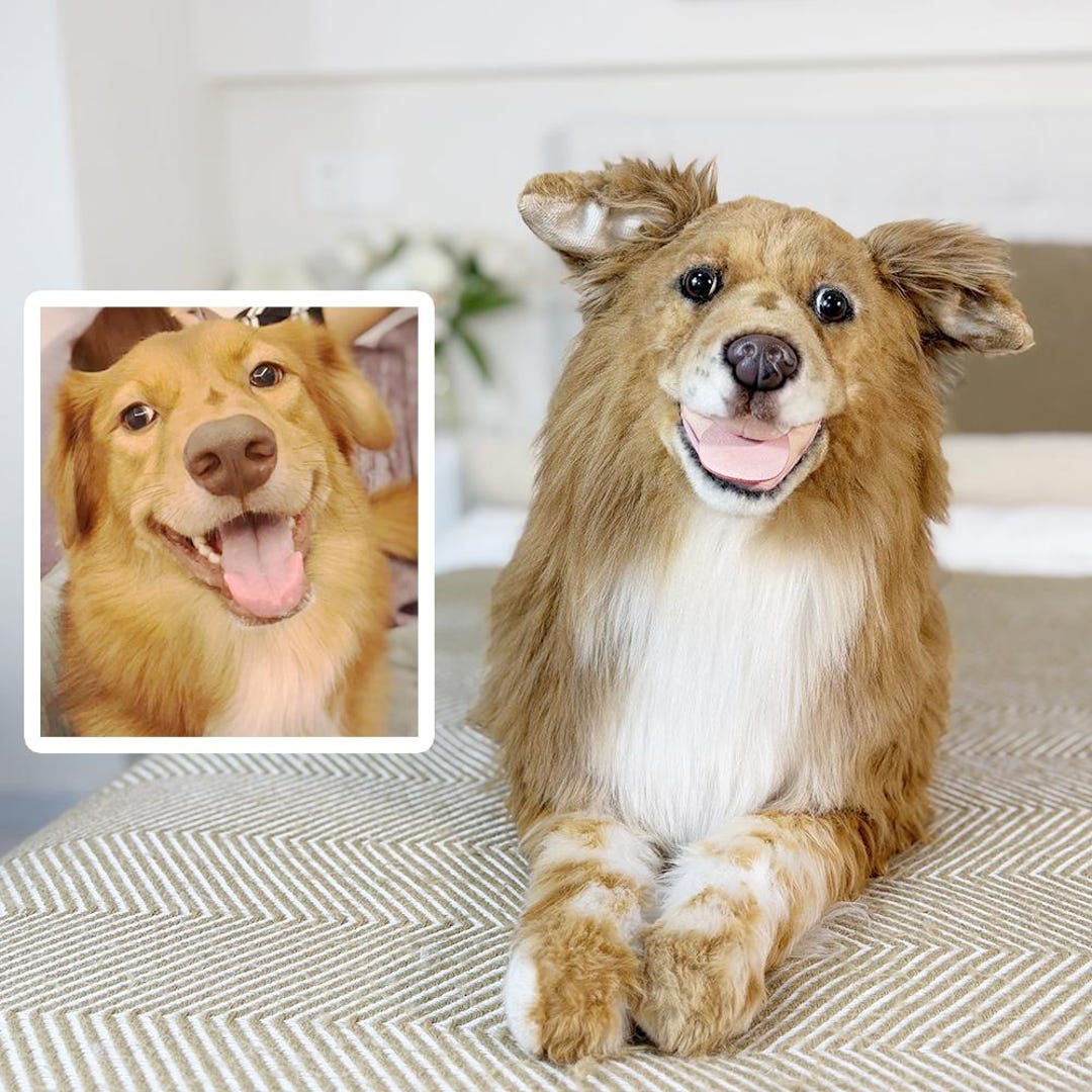 Custom Dog Plushie Clone | Life Size Dog Plushie | Personalize Dog Toy ...