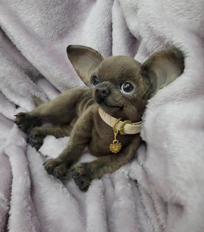 CUSTOM Articulated Dog Replica Realistic Life Size Dog Plushie ...