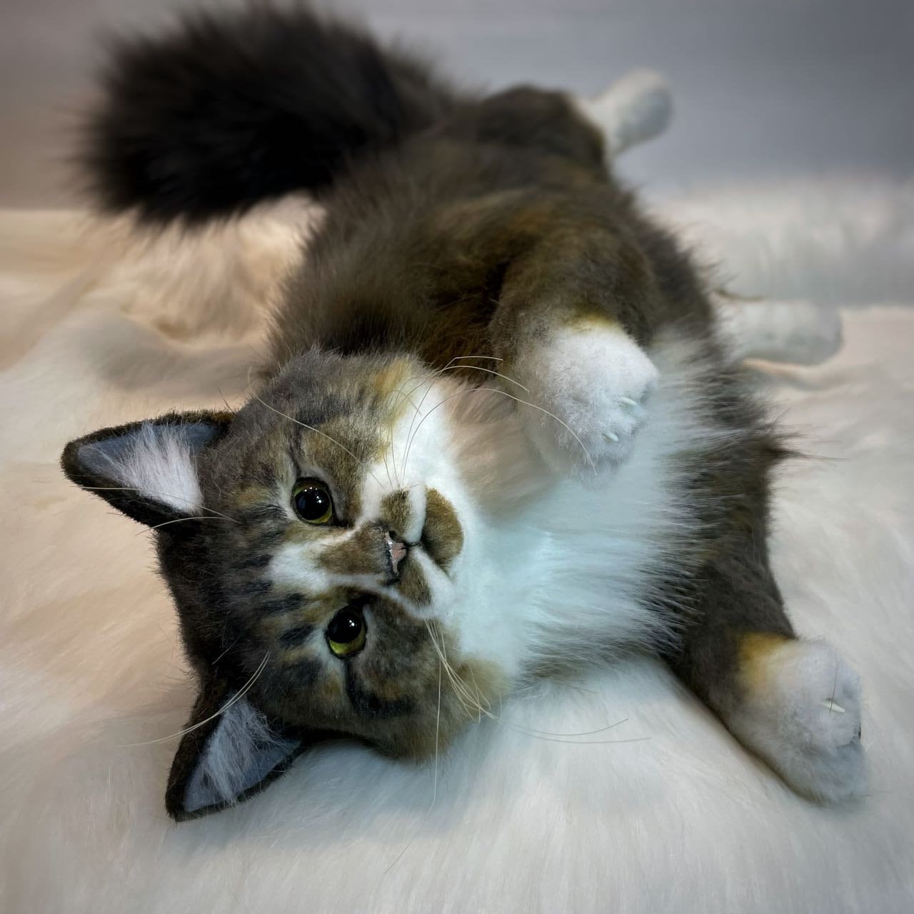 CUSTOM Realistic Norwegian Forest Cat Replica Articulated Life Size Cat ...