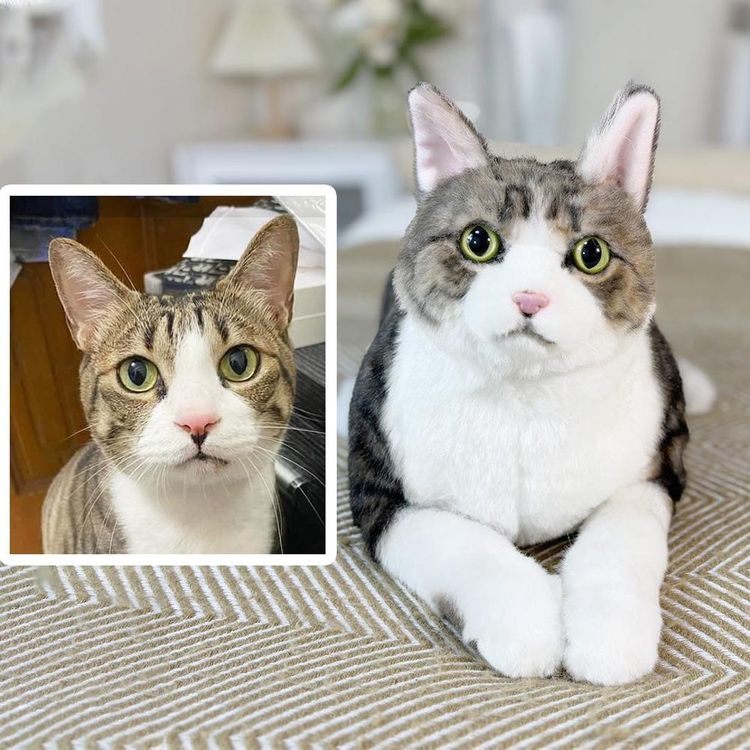 Custom Pet Plushie Clone | Life Size Cat Plushie | Personalize Animal ...