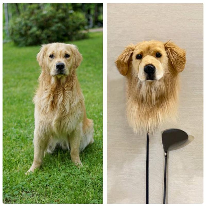 Golf Club Pet Cover - Etsy
