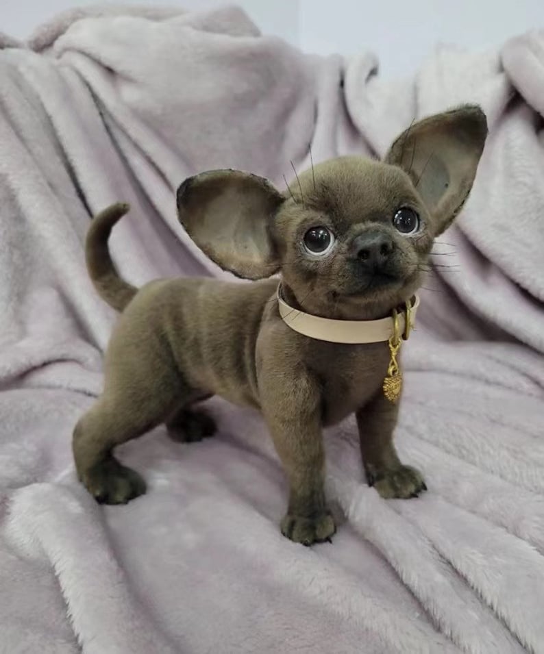 CUSTOM Articulated Dog Replica Realistic Life Size Dog Plushie ...