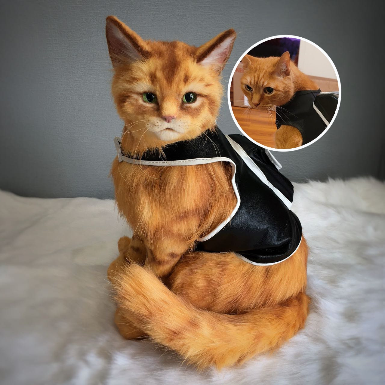 Articulated Realistic Cat Replica Articulated Life Size Cat Plushie ...