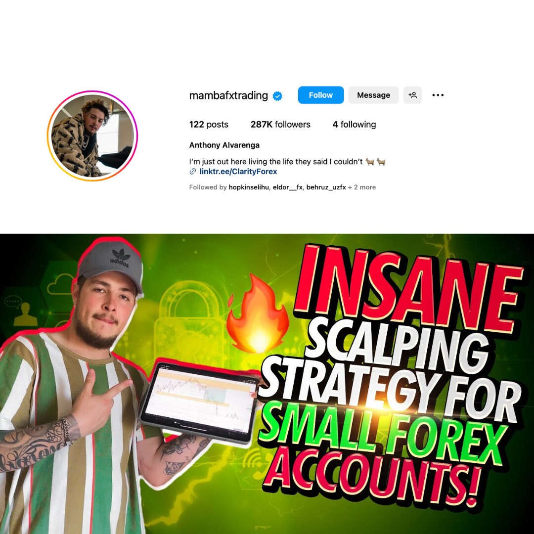 MAMBA FX Scalping Strategy Forex - Etsy Canada