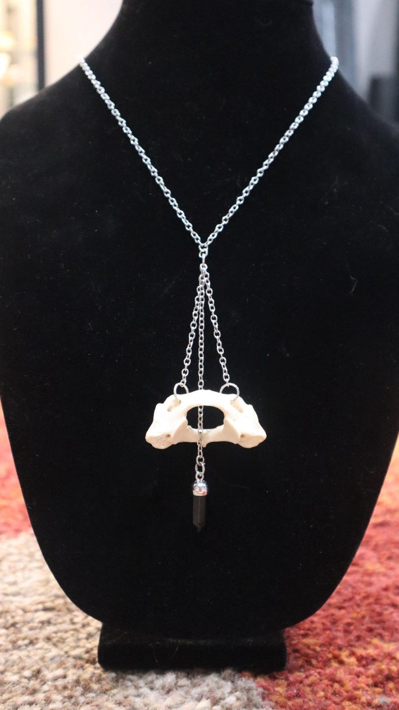 REAL Atlas Bone Necklace | Pendant - Etsy
