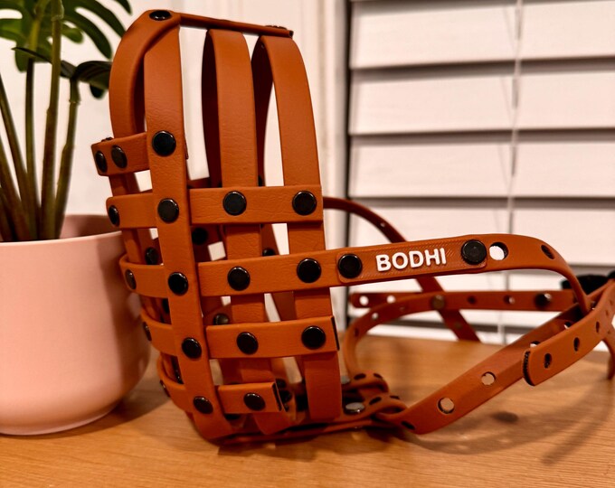 Biothane Dog Muzzle - Etsy