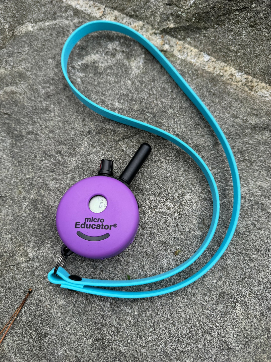 Biothane E-collar Remote Lanyard - Etsy