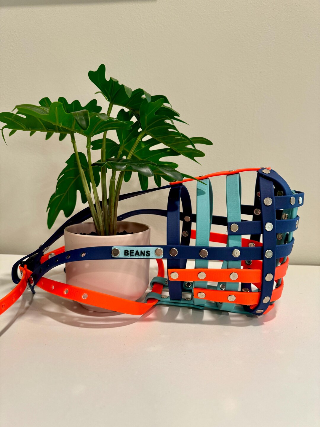 Removable Forehead Strap Option: Custom Made Biothane Dog Muzzle ...