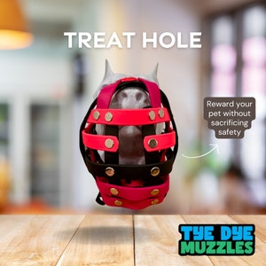 Removable Forehead Strap Option: Custom Made Biothane Dog Muzzle ...