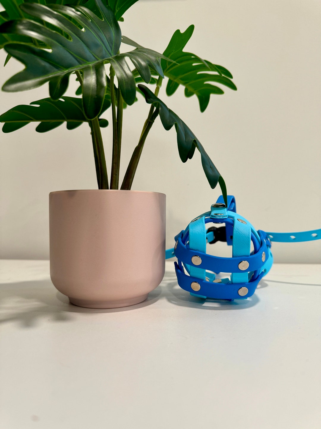 Pre-made Biothane Muzzle - 9 Inch Circumference - Small Dog - Etsy