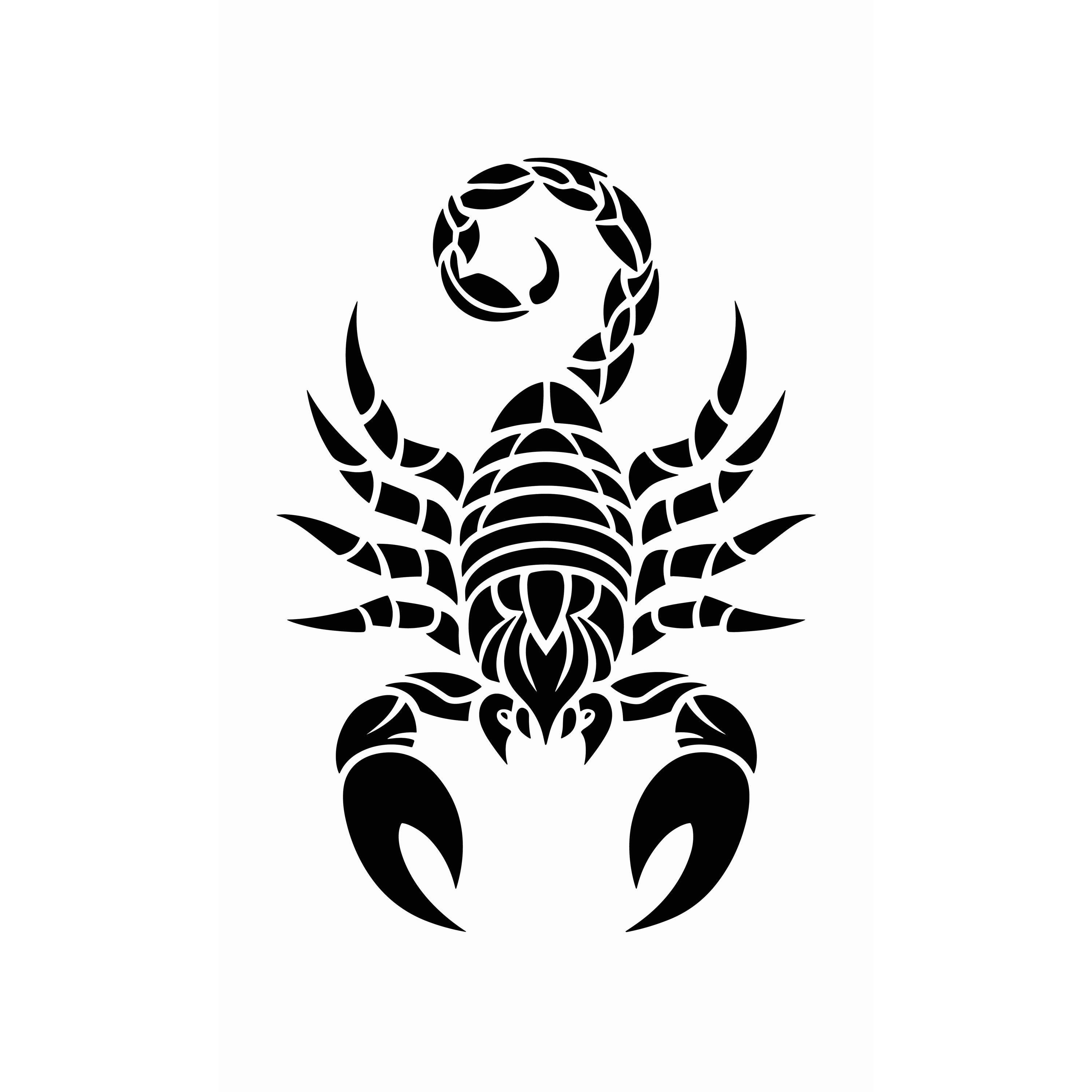 Scorpion SVG Scorpio Cut Files Animal Vector Scorpio SVG Tribal ...