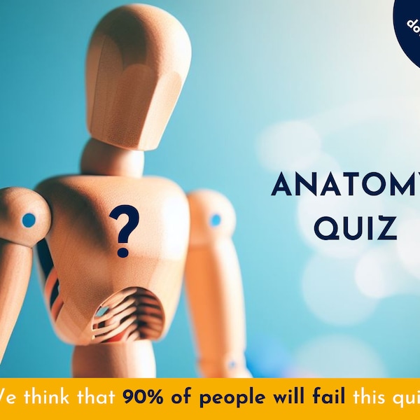 Interactive Human Anatomy Quiz - Etsy