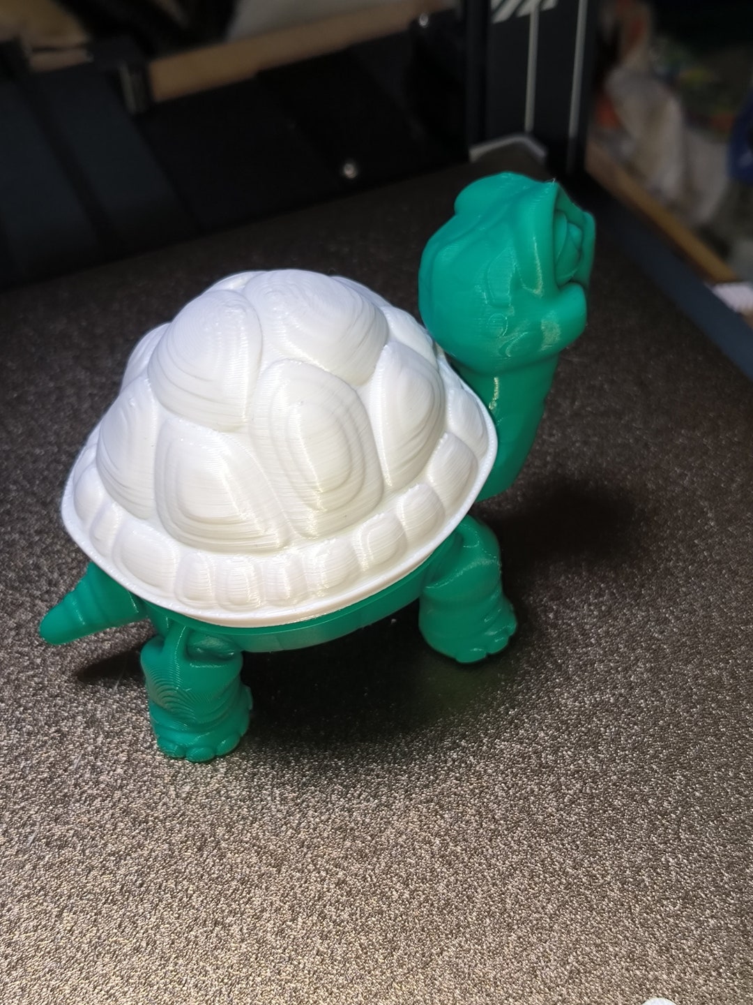 Articulated Turtle. Small Box - Etsy