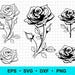 Birth Flowers SVG Files. Birth Month Flowers Png, Dxf, Eps. Silhouette ...