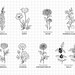 Birth Flowers SVG Files. Birth Month Flowers Png, Dxf, Eps. Silhouette ...