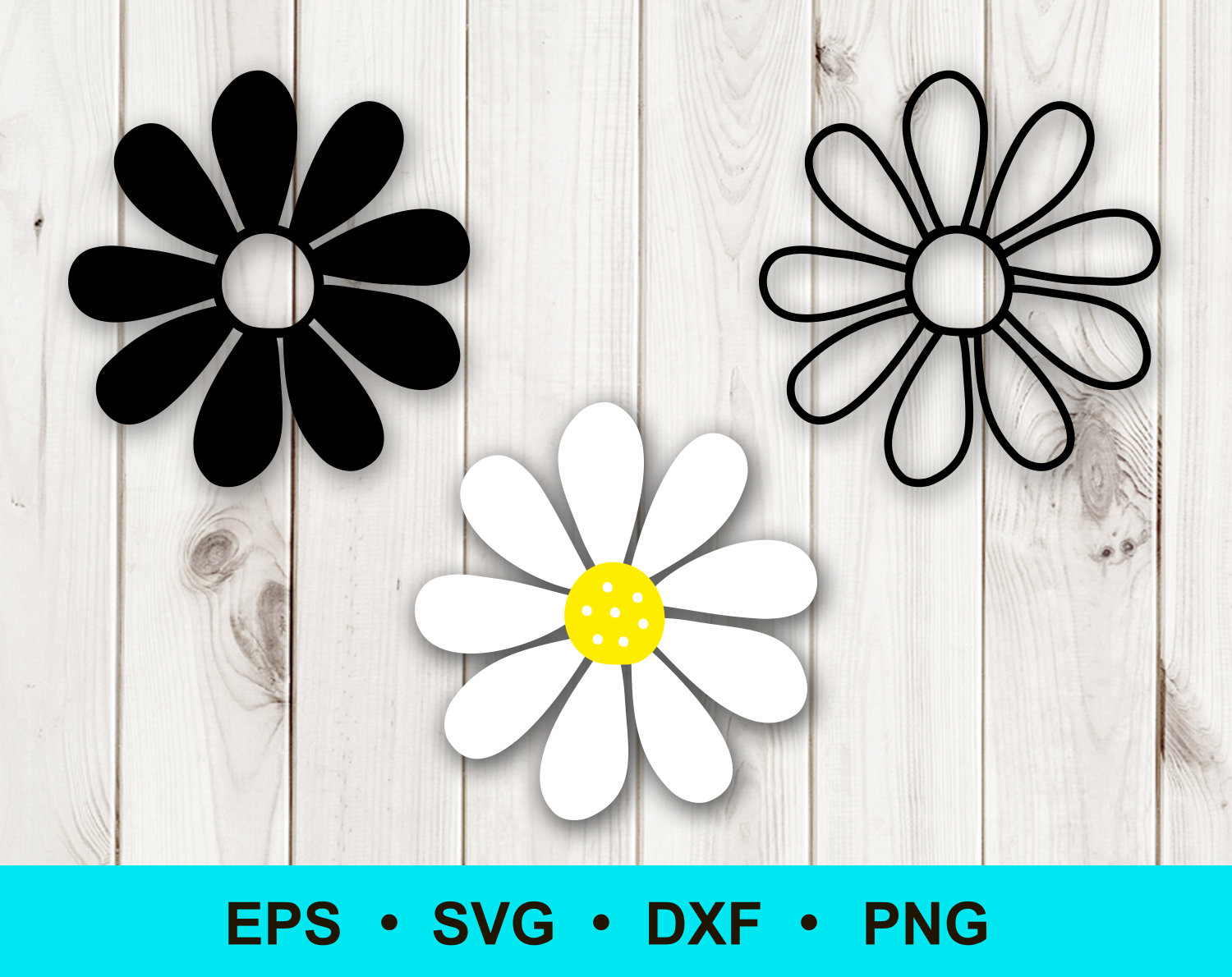 Daisy Flower SVG, PNG, DXF, Eps. Simple Flower Shape Cut Files. Daisy ...