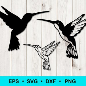 Hummingbird SVG, Dxf, Png, Eps Files. SVG Files for Cricut. Hummingbird ...
