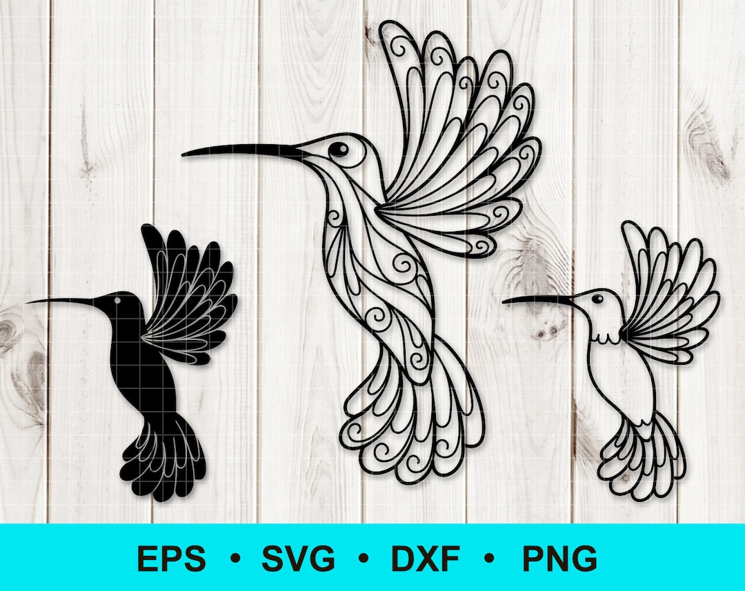 Hummingbird Svg, Dxf, Png, Eps Files. SVG Files for Cricut. Hummingbird ...