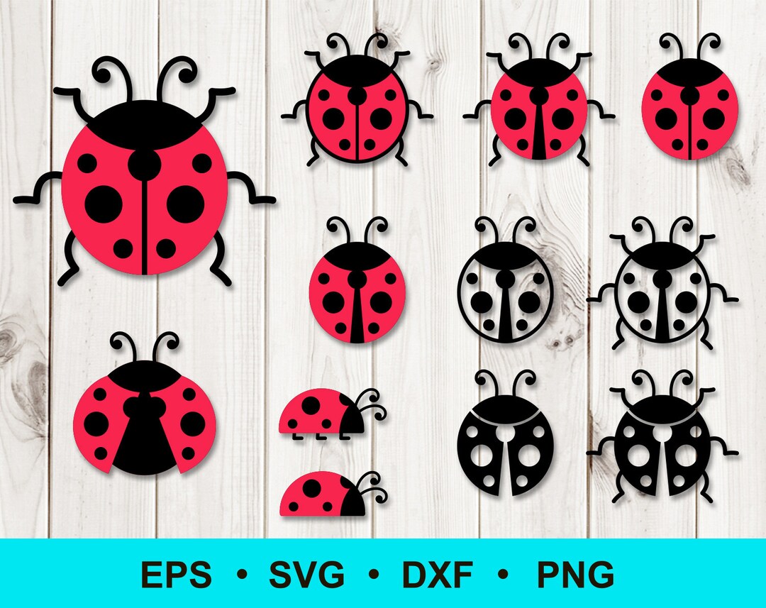 Ladybug Clipart. Ladybug Svg. Ladybug Png, Dxf, Eps. Cute Funny Summer ...