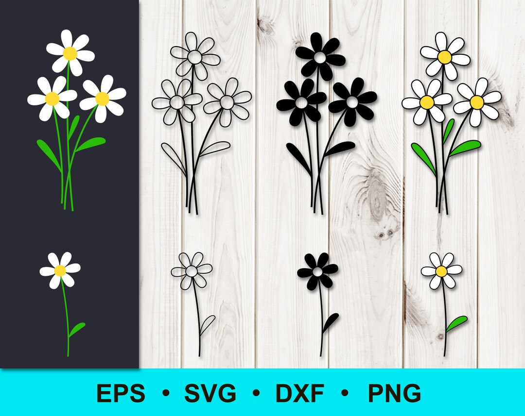 Daisy Flower SVG, PNG, DXF, Eps. Simple Flower Shape Cut Files. Daisy ...