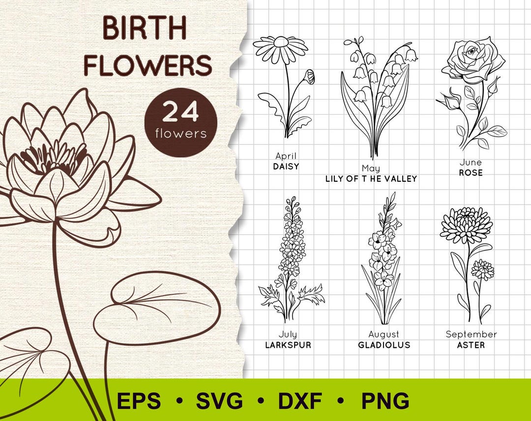 Birth Flowers SVG Files. Birth Month Flowers Png, Dxf, Eps. Silhouette ...