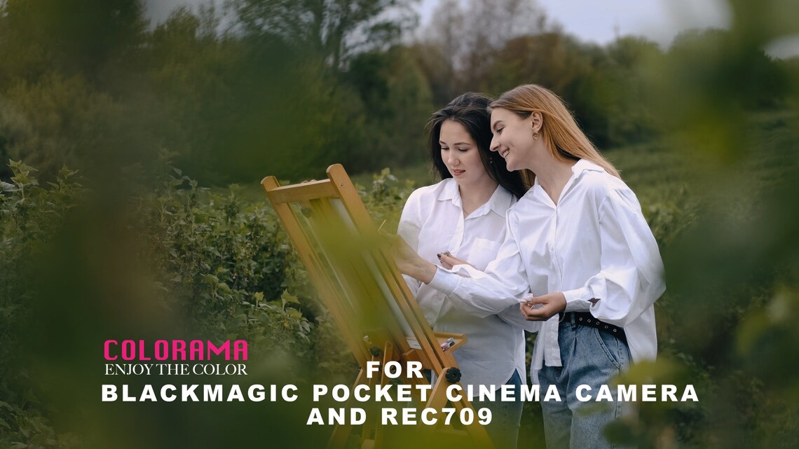 KODAK 2383 Film Emulation LUT for BMPCC and Rec709 - Professional Color ...