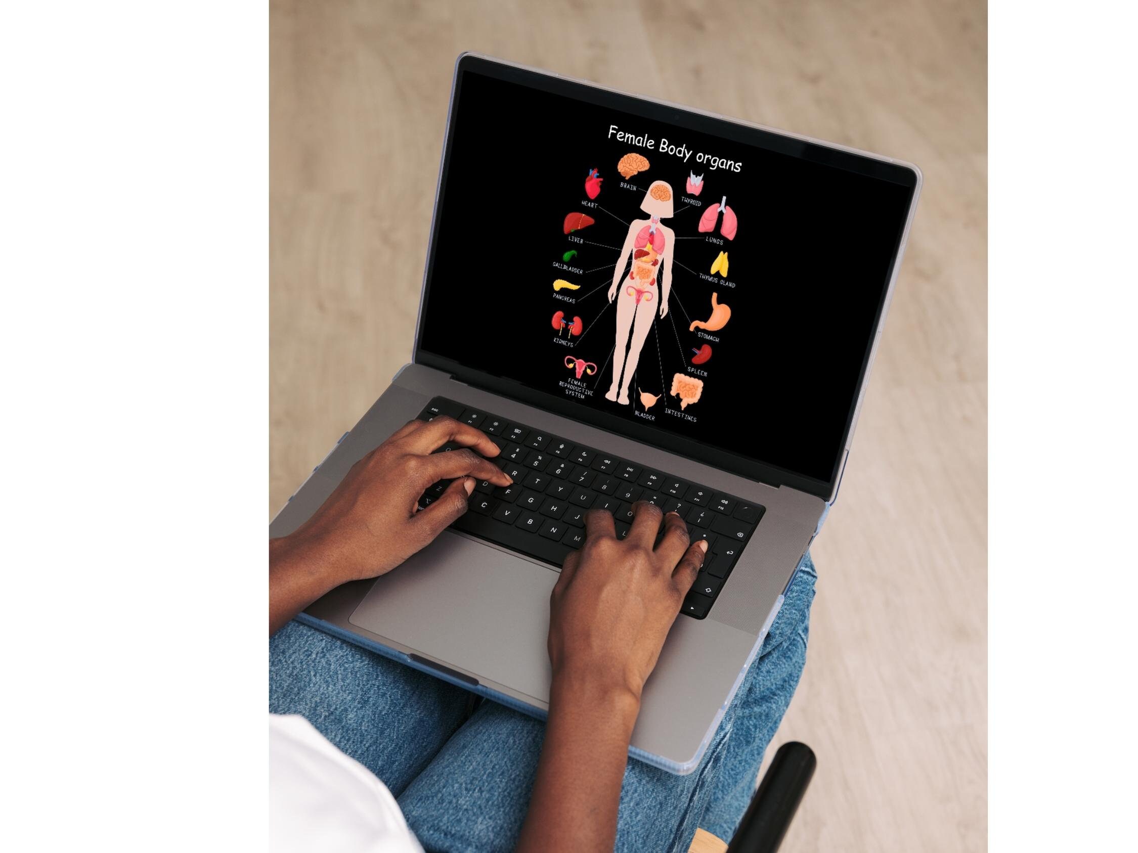 Human Body Organs. Biology Posters, Educational Science Wall Art ...