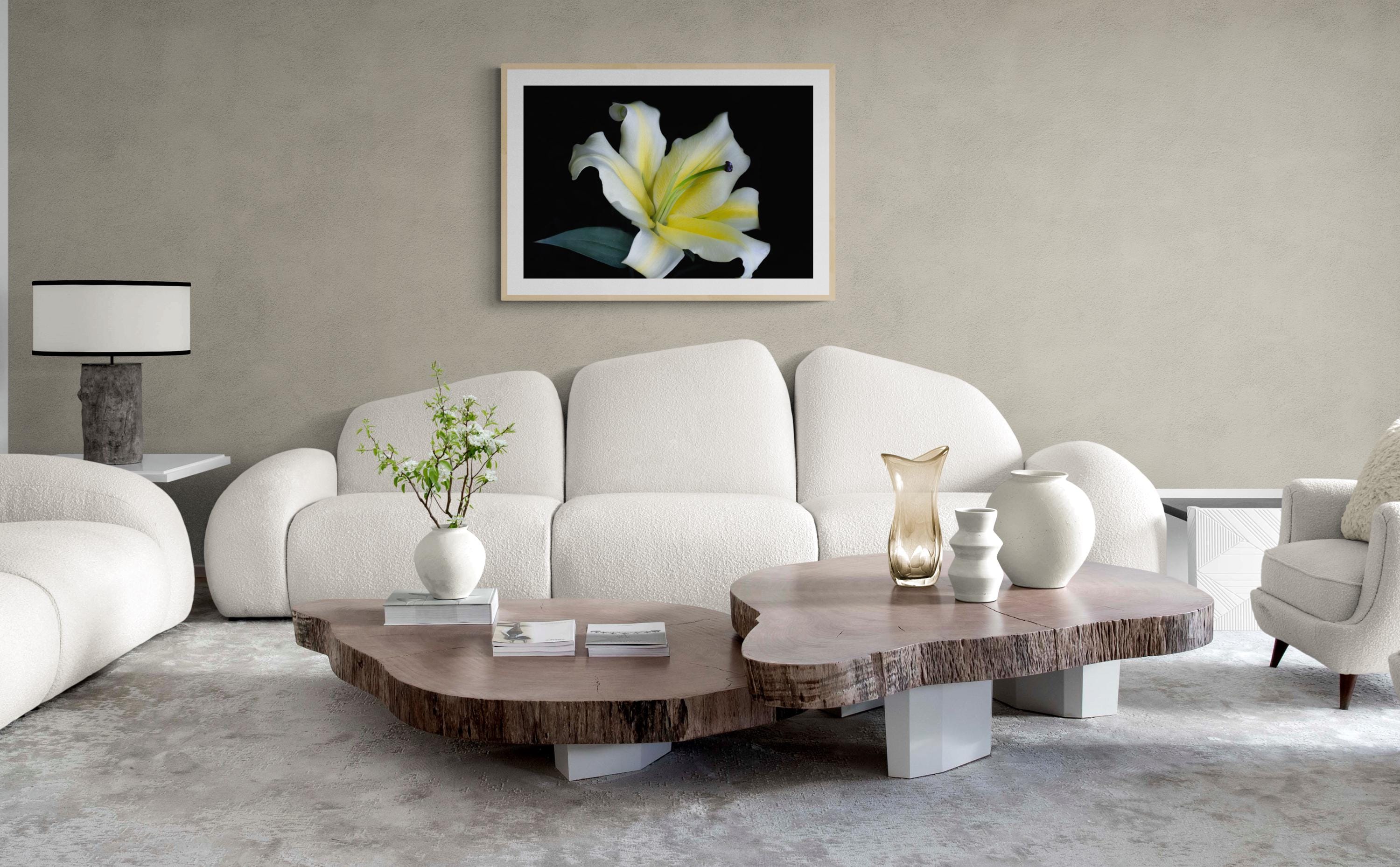 Yellow Lily Canvas Print: Elegant Floral Photography, Nature Wall Art ...