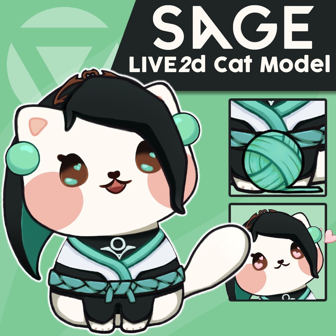 Valorant Sage Cat Vtuber Model: Ready to Use LIVE2D Avatar - Etsy