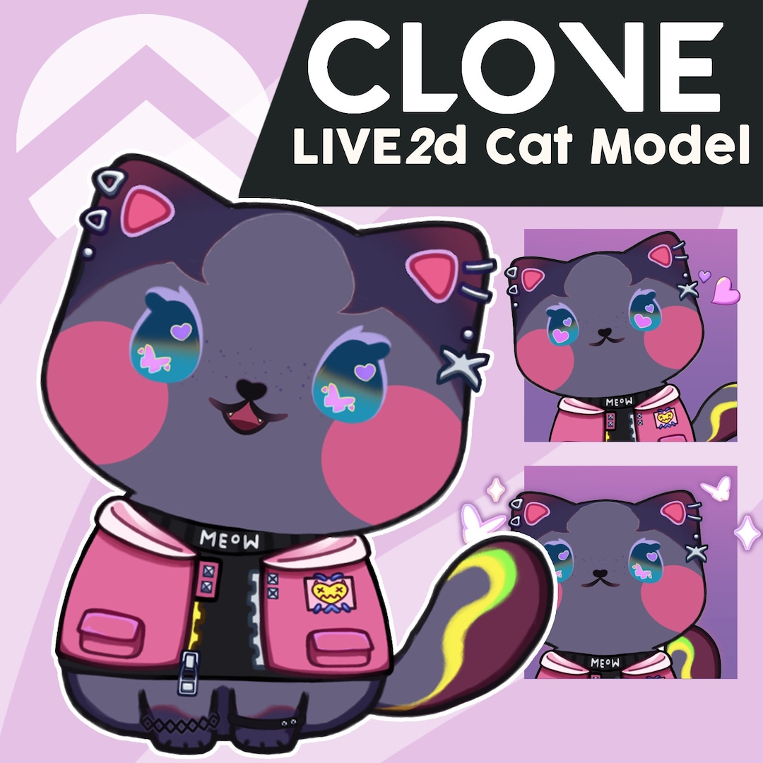 Valorant Clove Cat - LIVE2D Vtuber Model - Premade - Etsy