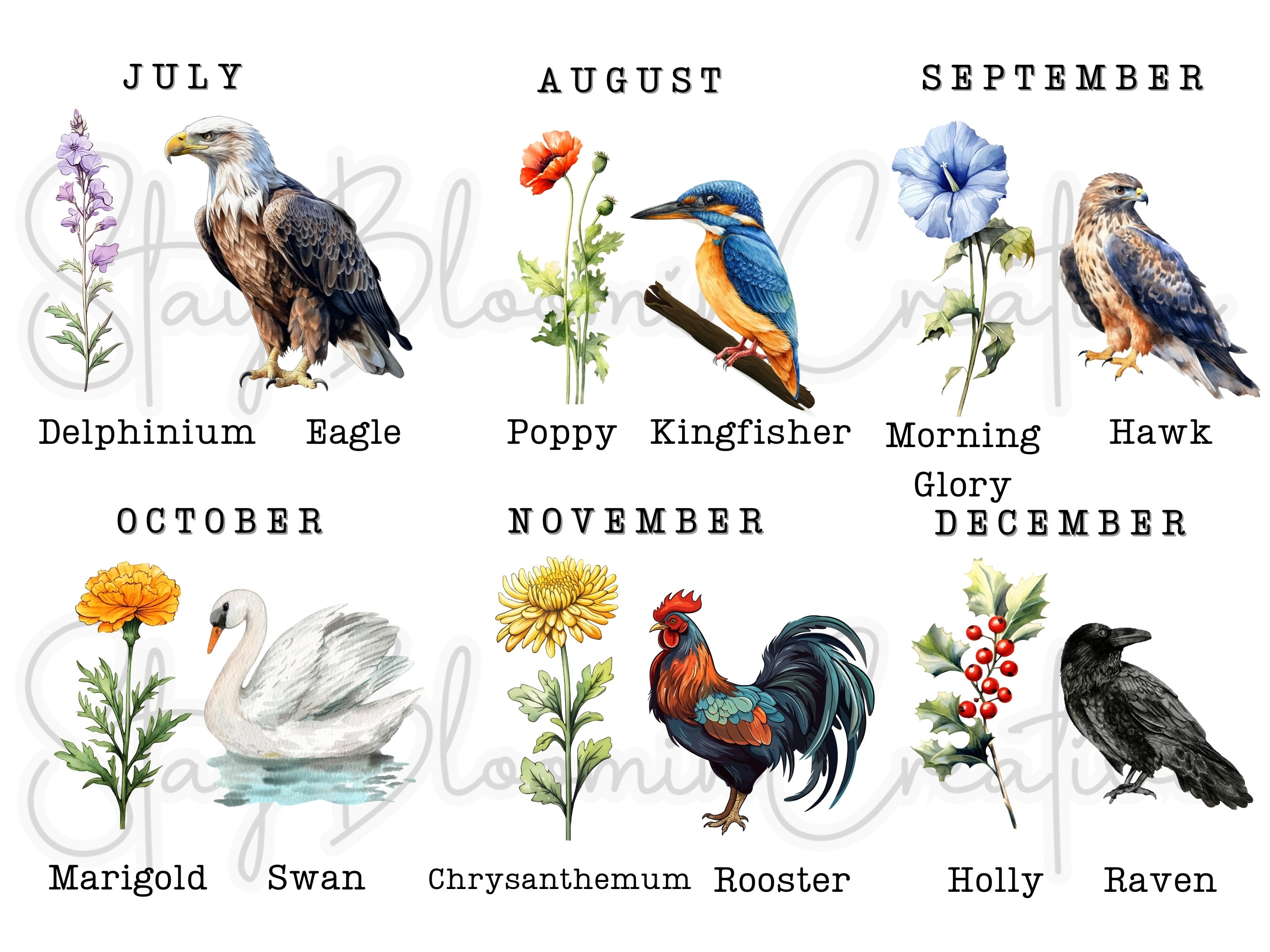 Custom Birth Month Flowers & Birth Birds Personalised Family Bouquet ...