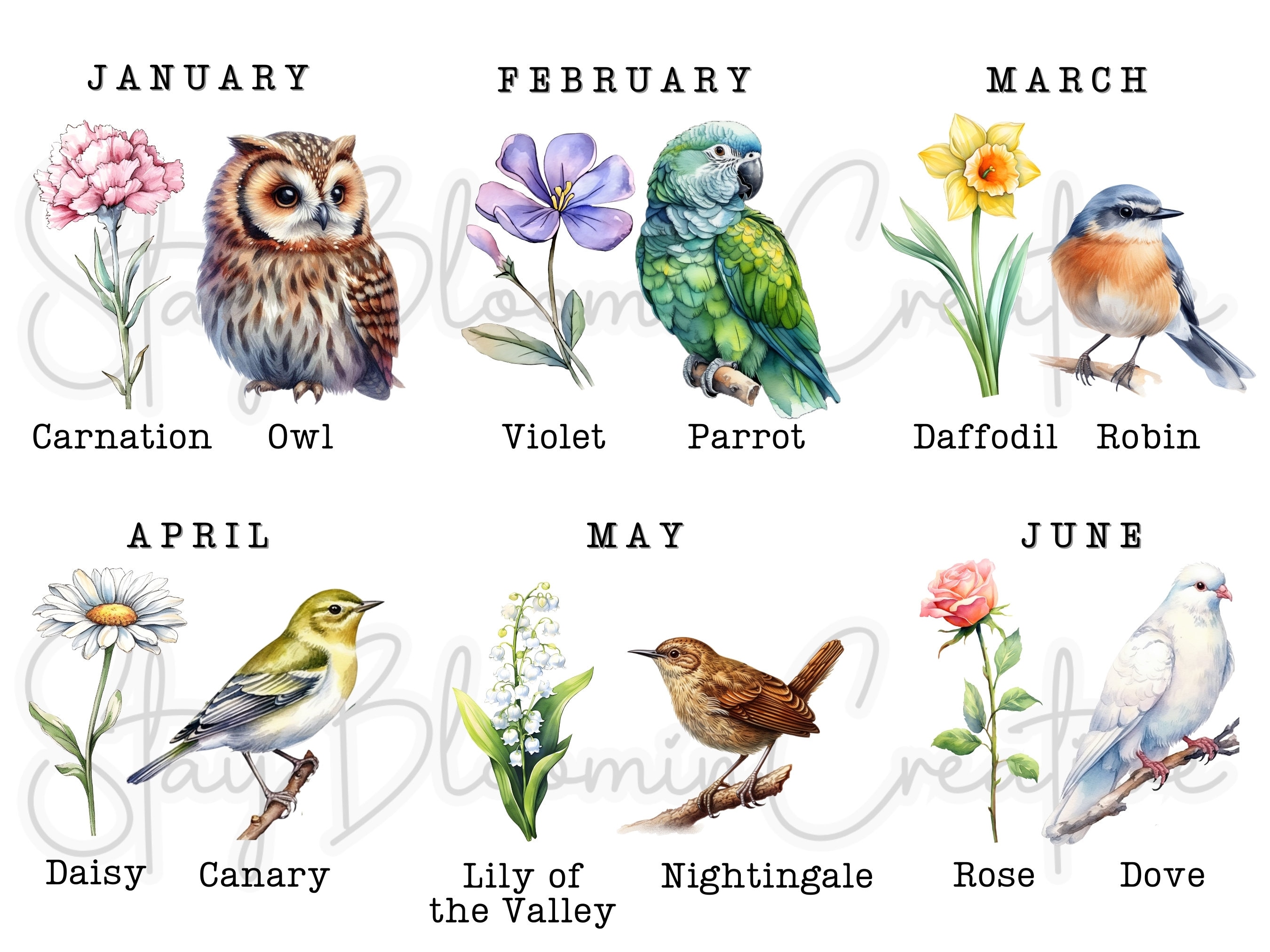 Custom Birth Month Flowers & Birth Birds Personalised Family Bouquet ...