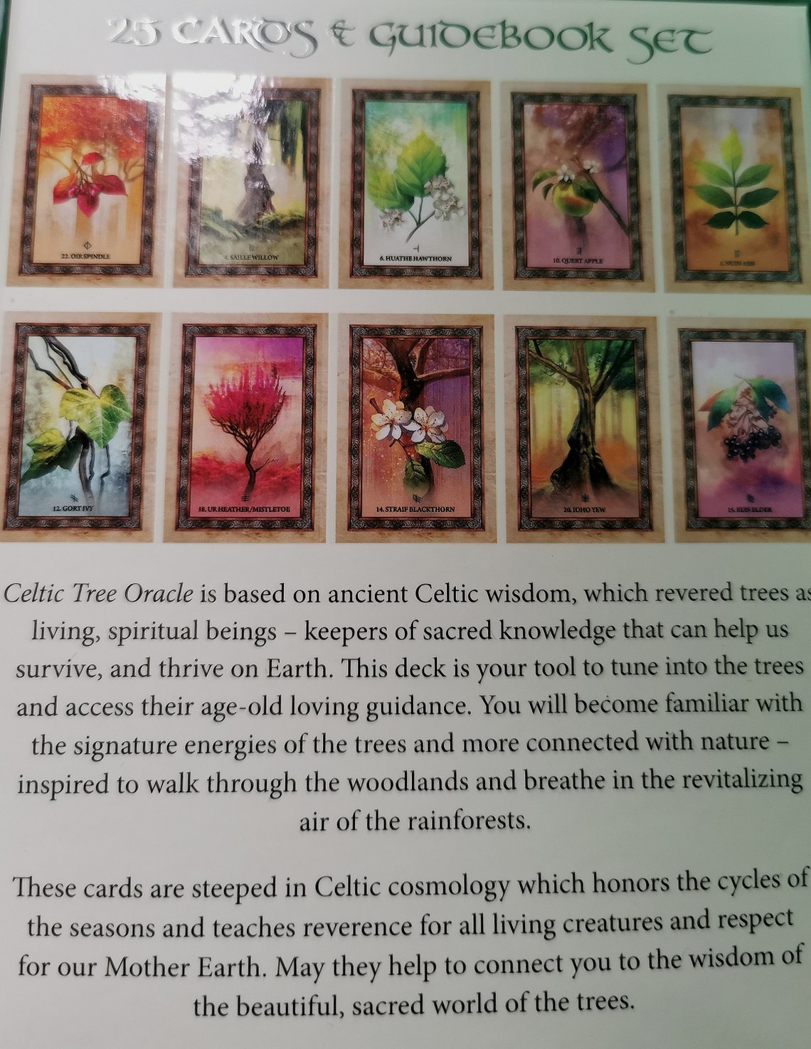 Oracle Cards - the Celtic Tree - Etsy UK