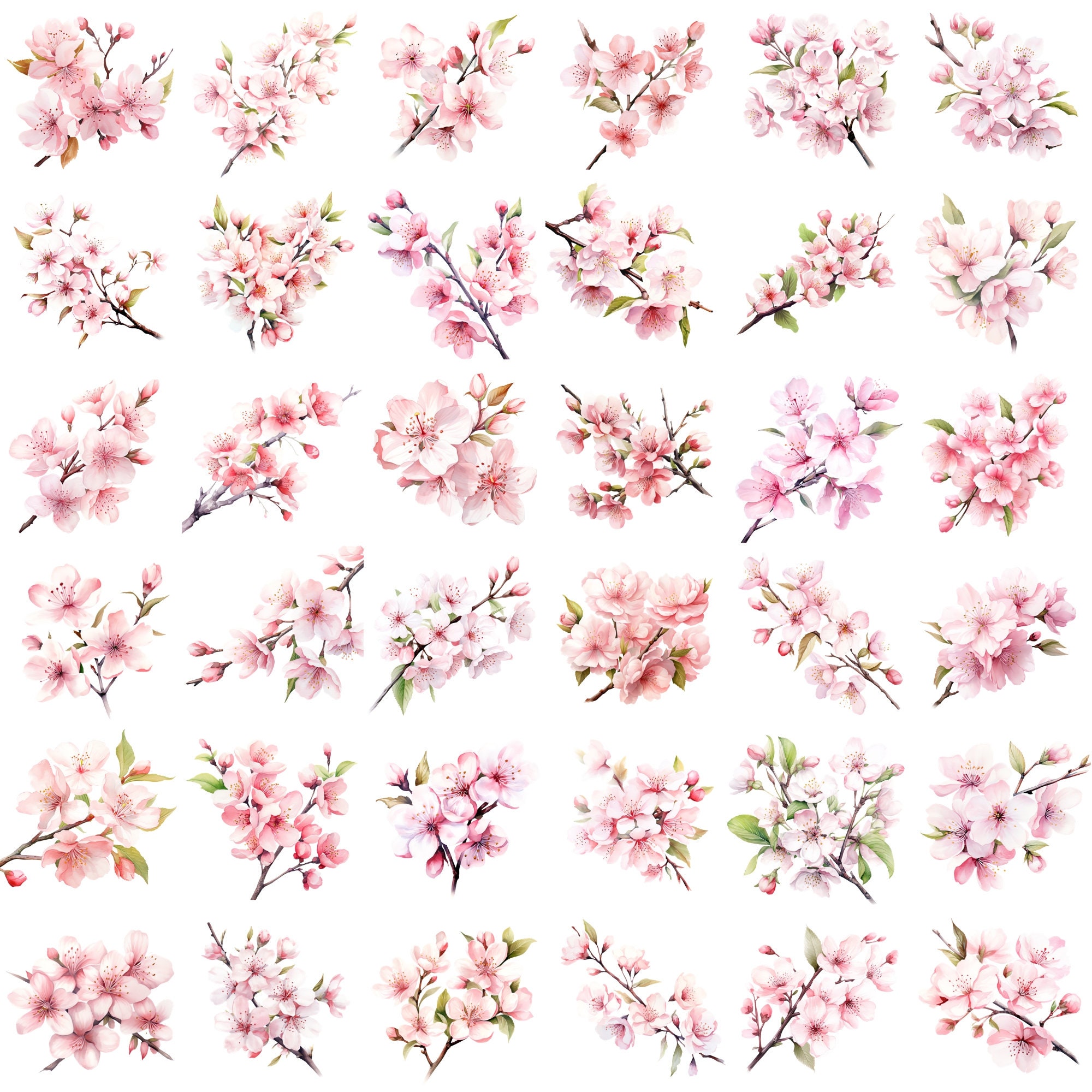 Watercolor Cherry Blossom PNG Clipart Bundle, Watercolor Clipart ...