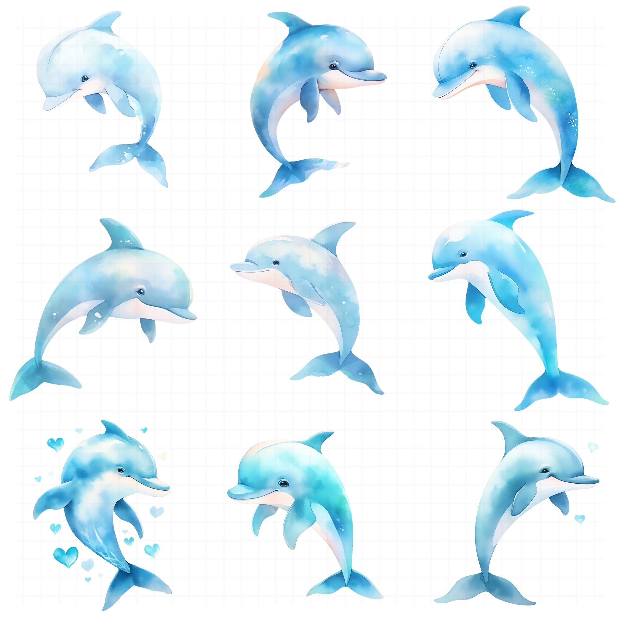 Cute Watercolor Dolphin PNG SVG Clipart, Ocean Animals, Sea Life ...
