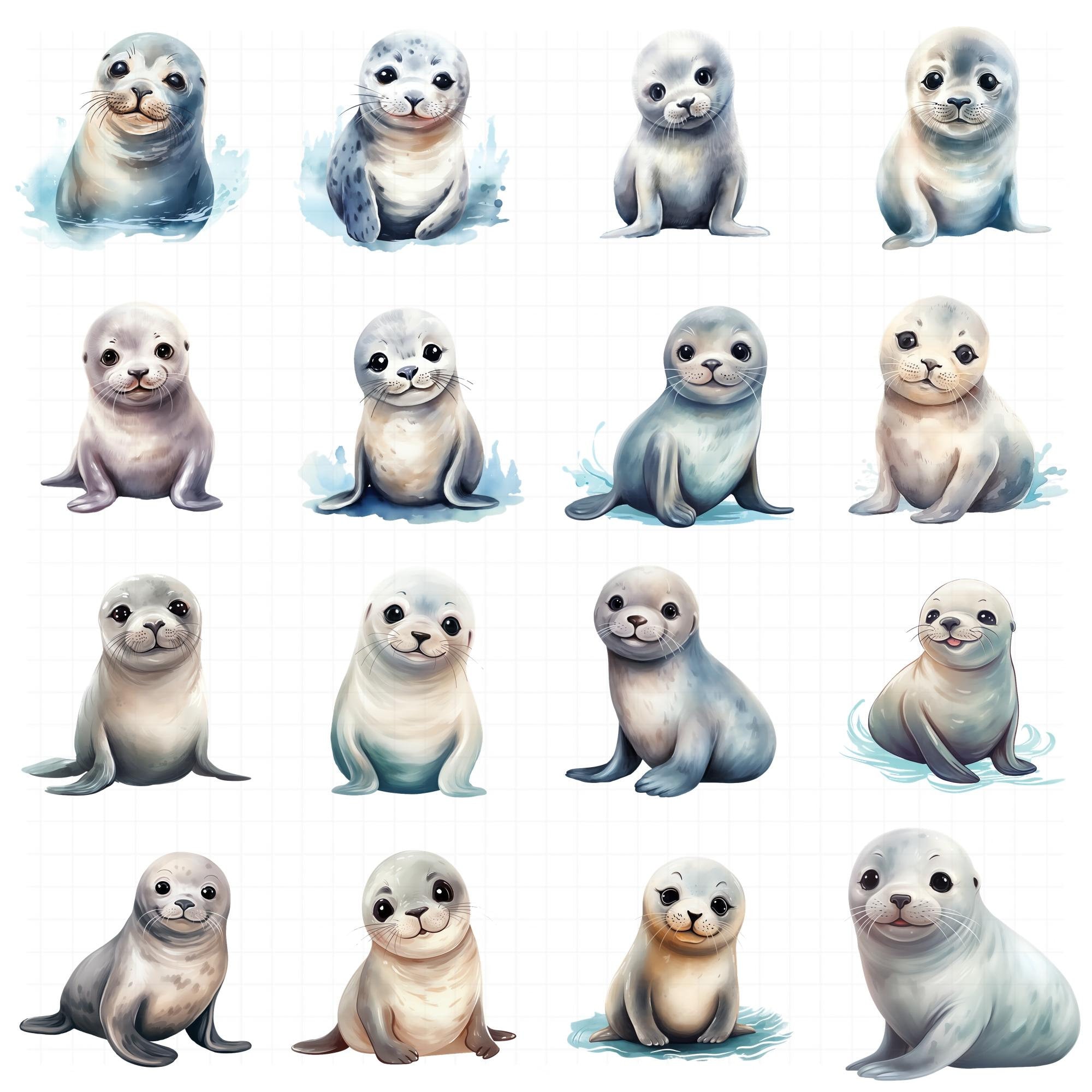 Cute Watercolor Seal SVG PNG Clipart , Ocean Animal Clipart, Nursery ...