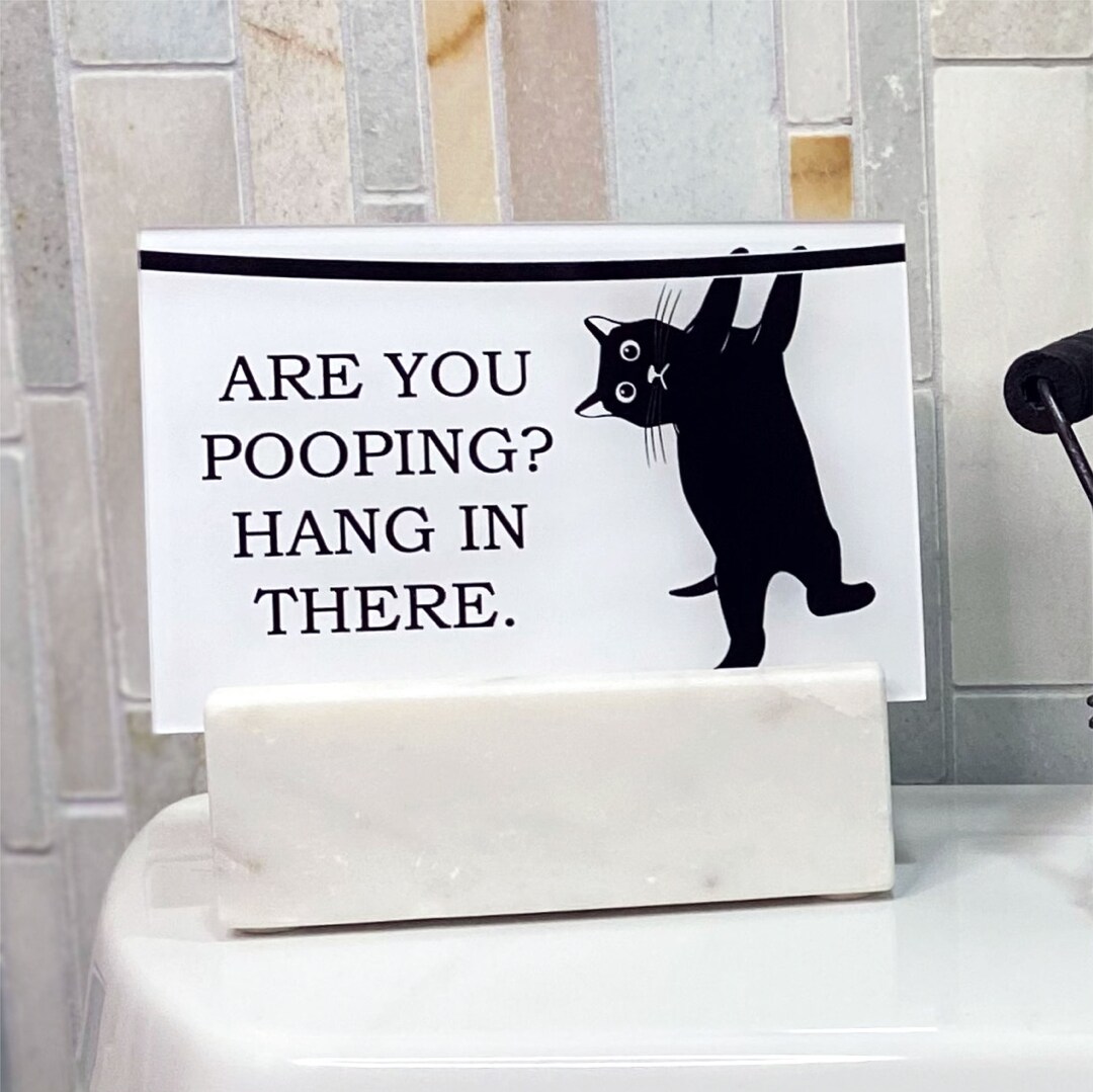 Acrylic Are You Pooping Cat Sign, Funny 6x4 IN Hang in There Cat Poster ...