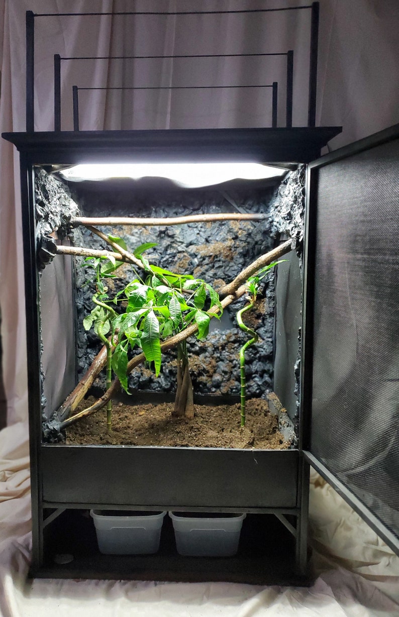 Custom Arboreal Reptile Enclosure Bioactive Ready - Etsy