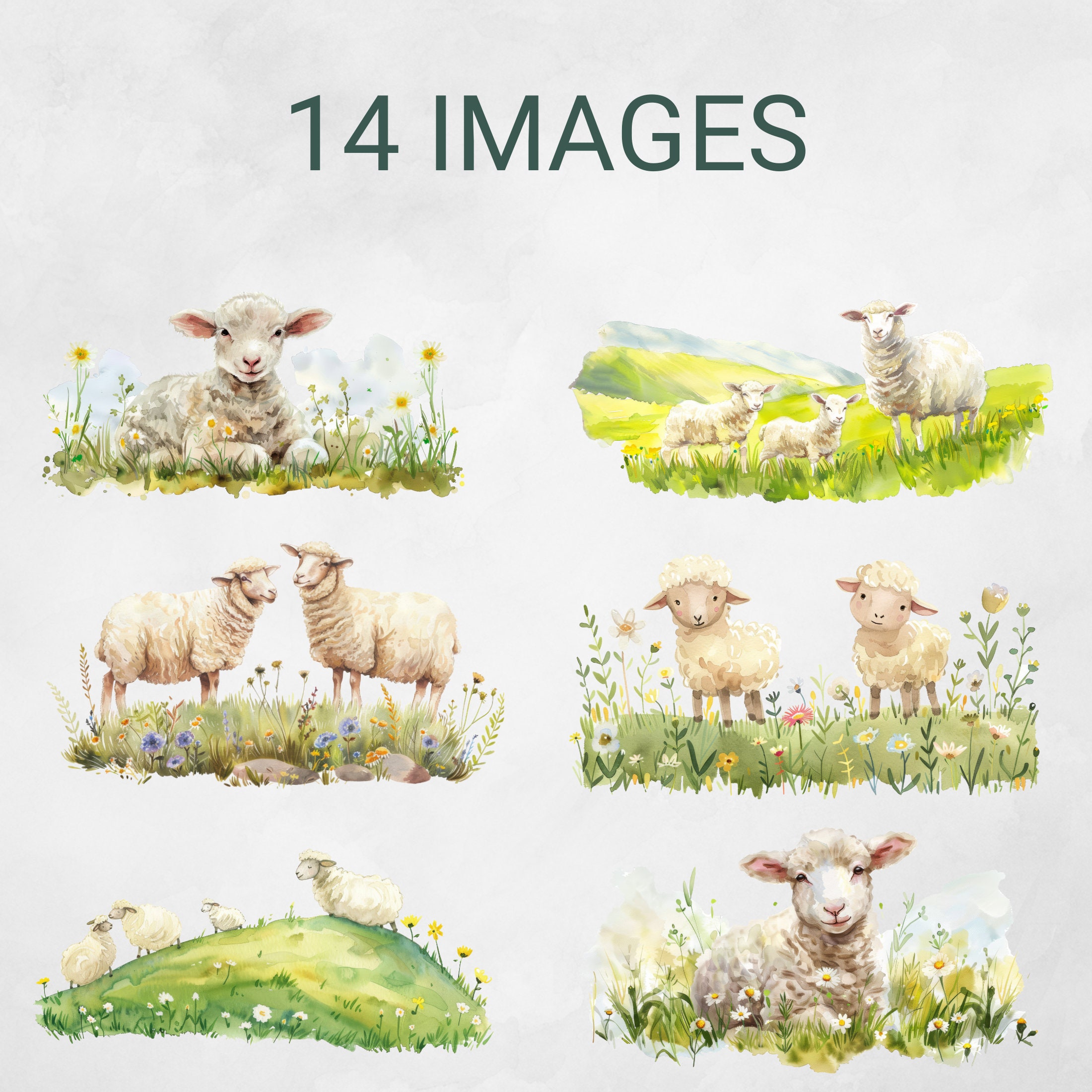 Sheep Clipart, Clipart of Sheep, Baby Lambs, Spring Clipart, Baby ...