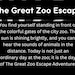 Escape Room for Kids - the Great Zoo Escape - Ages 7-12 - Etsy