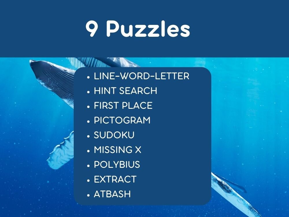 Escape Room for Kids - Whale Quest - Whale Escape Room - Escape Room ...