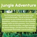 Escape Room for Kids - Jungle Adventure - Ages 7-12 - Etsy