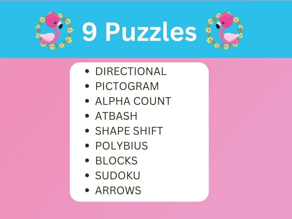 Escape Room for Kids - Flamingo Funhouse - Flamingo Escape Room - Ages ...