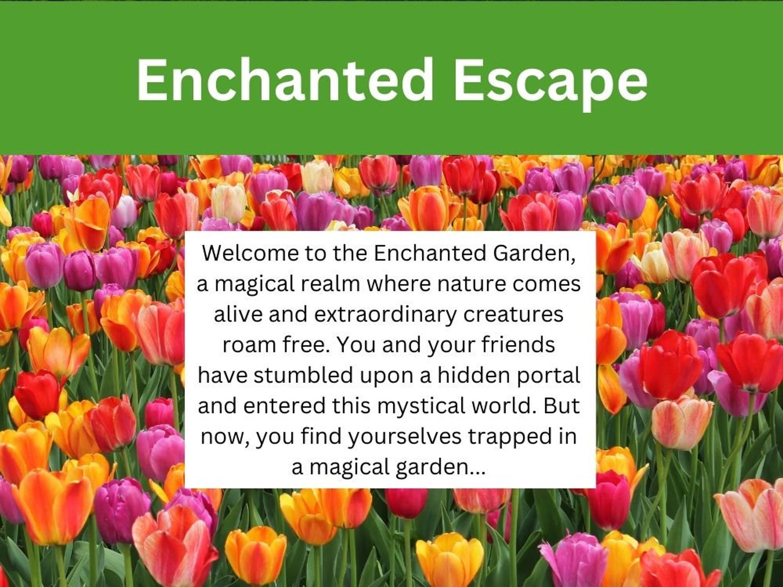 Escape Rooms for Kids Enchanted Escape Ages 7-12 - Etsy