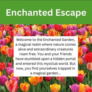 Escape Rooms for Kids - Enchanted Escape - Ages 7-12 - Etsy