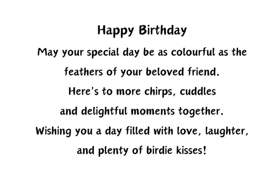 Cockatiel Happy Birthday Card, Cockatiel Birthday Card, Greeting Card ...