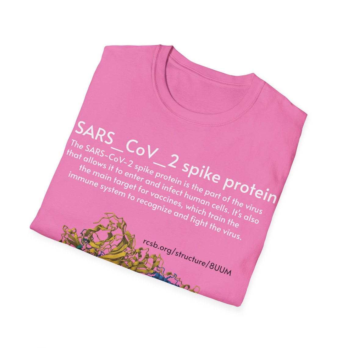 Sars_cov_2 Spike Protein Cartoon Schematic - Etsy