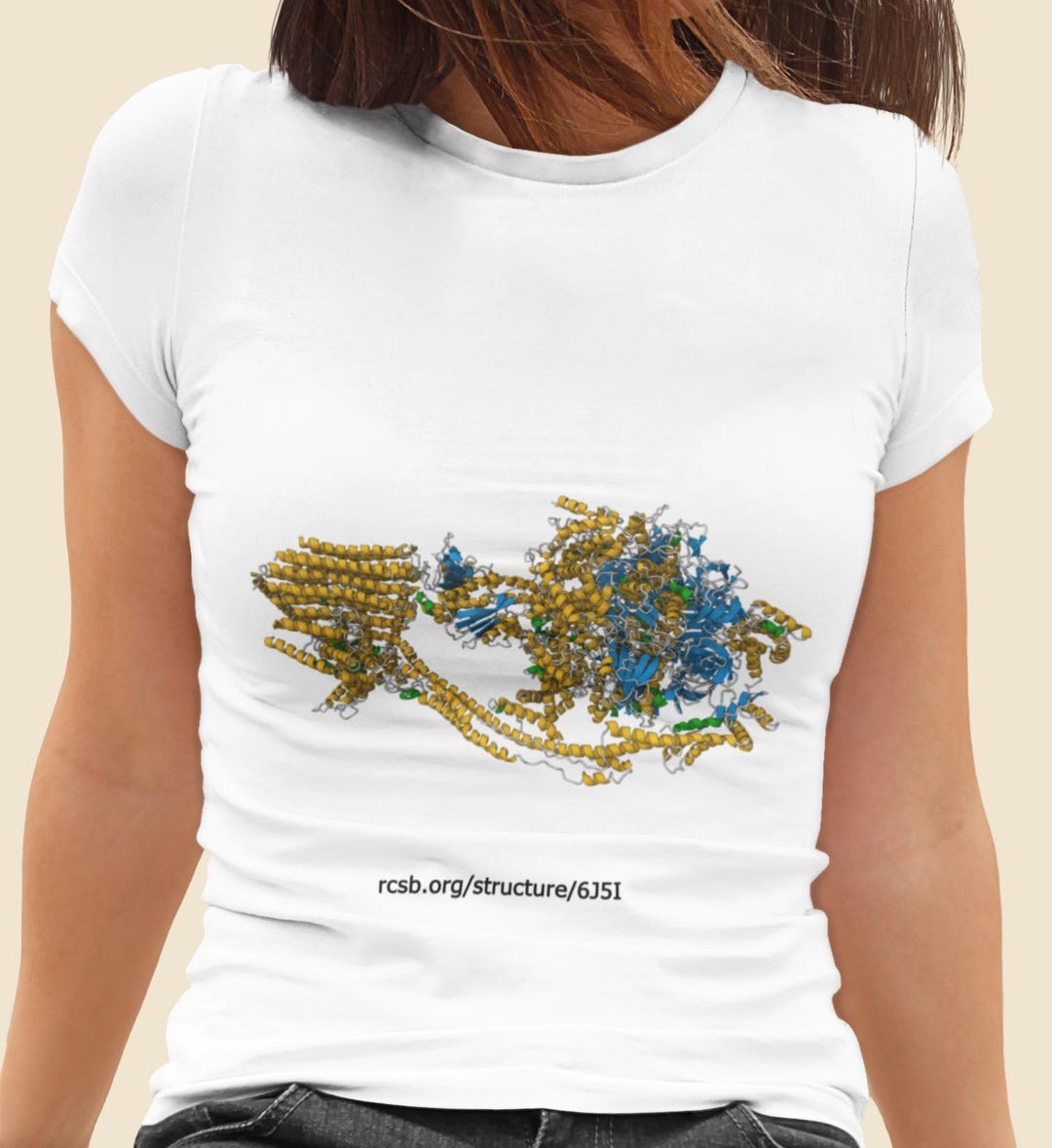ATP Synthase Protein Cartoon - Etsy