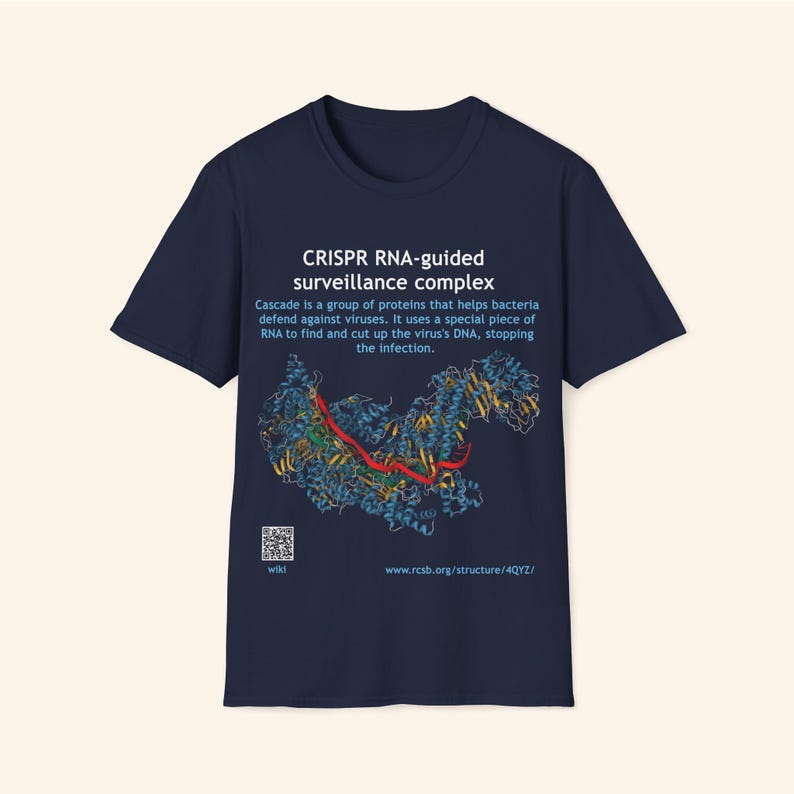 CRISPR Rna-guided Surveillance Complex Cartoon Schematic - Etsy